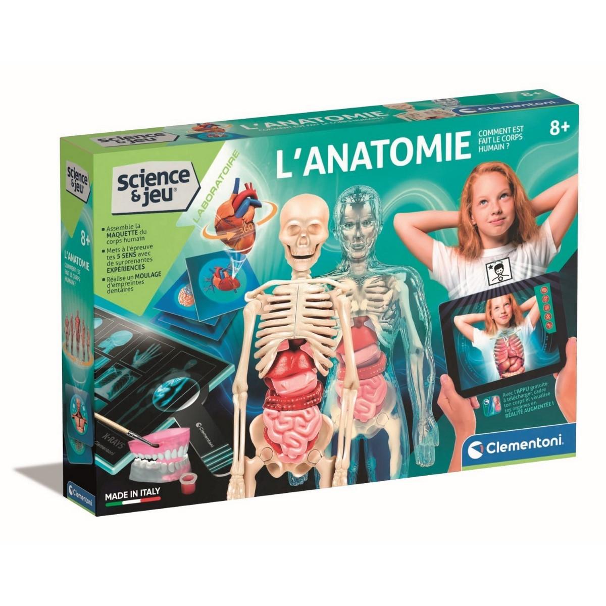 Science et jeu : L'Anatomie - La Grande Récré